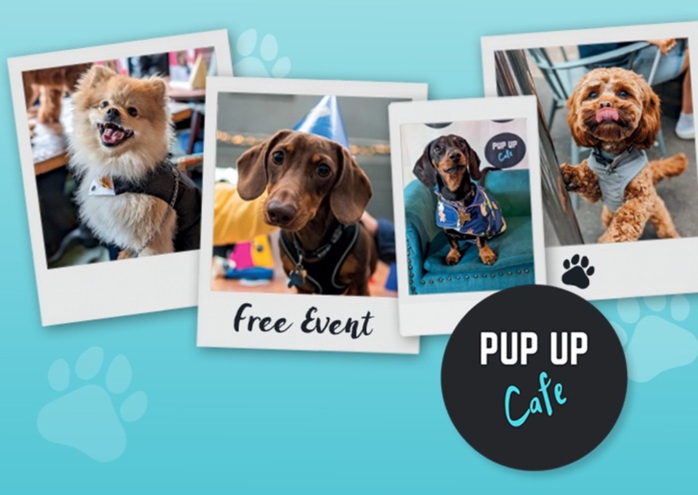 Pup Cafa Logo Guide Dogs Victoria Is Hosting A Puppy Pop Up Café In