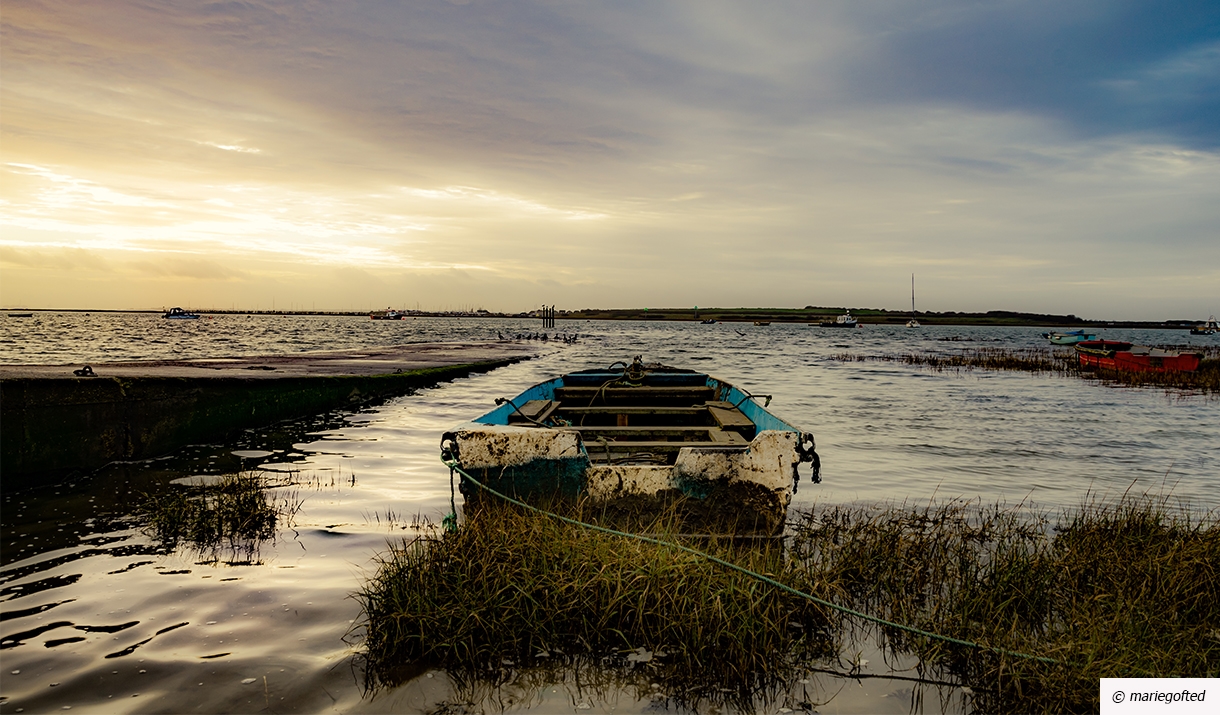 Two Tree Island - Nature Reserve in Essex, Leigh-on-Sea - Essex